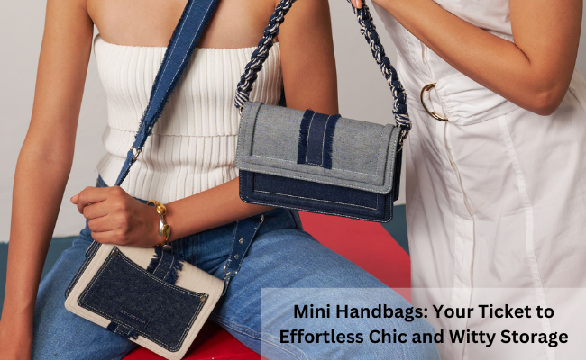 Mini Handbags: Your Ticket to Effortless Chic and Witty Storage – Etcetera